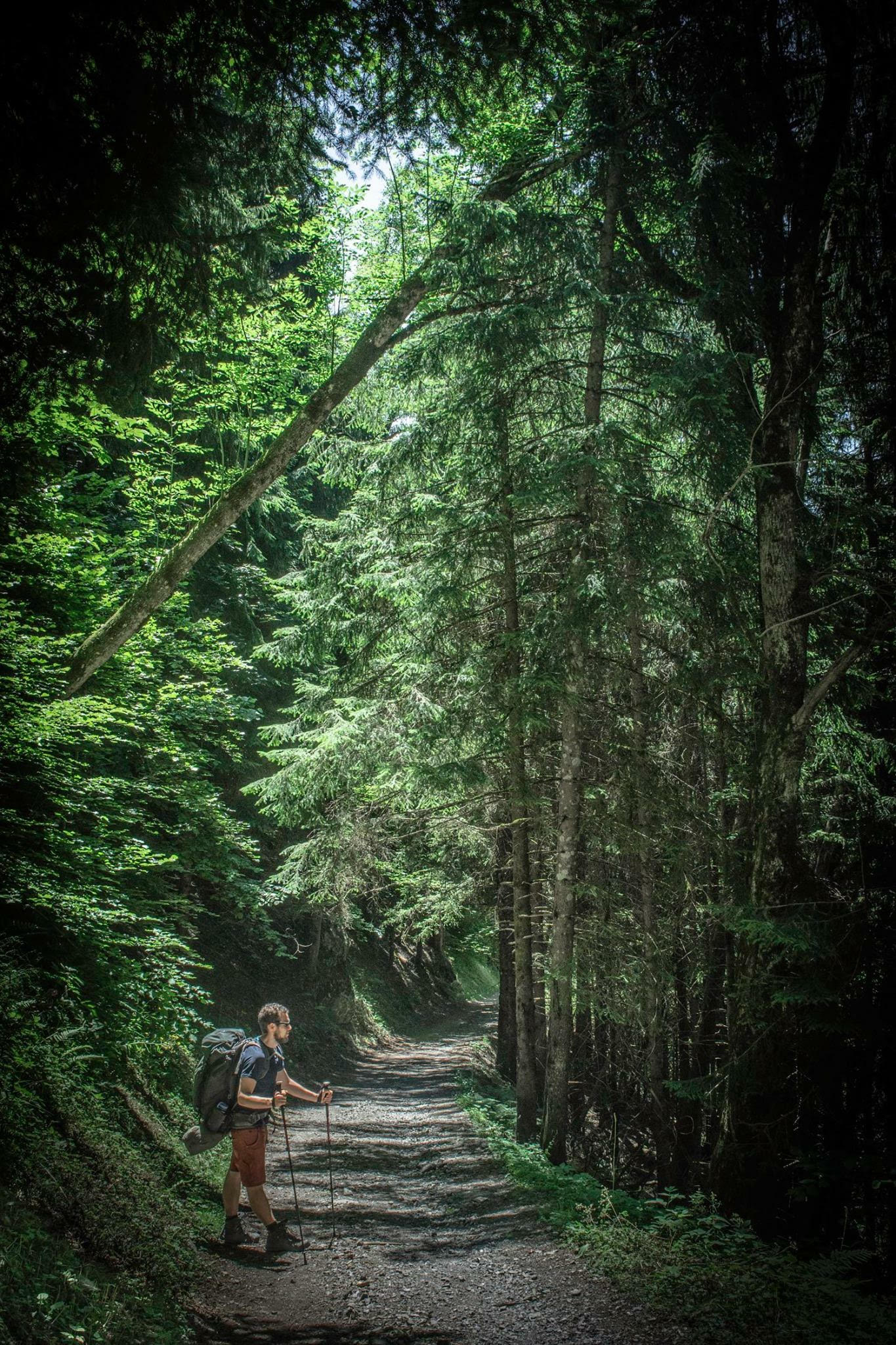 Tools for Forging a New Path: Tips on Navigating the Transition from ...